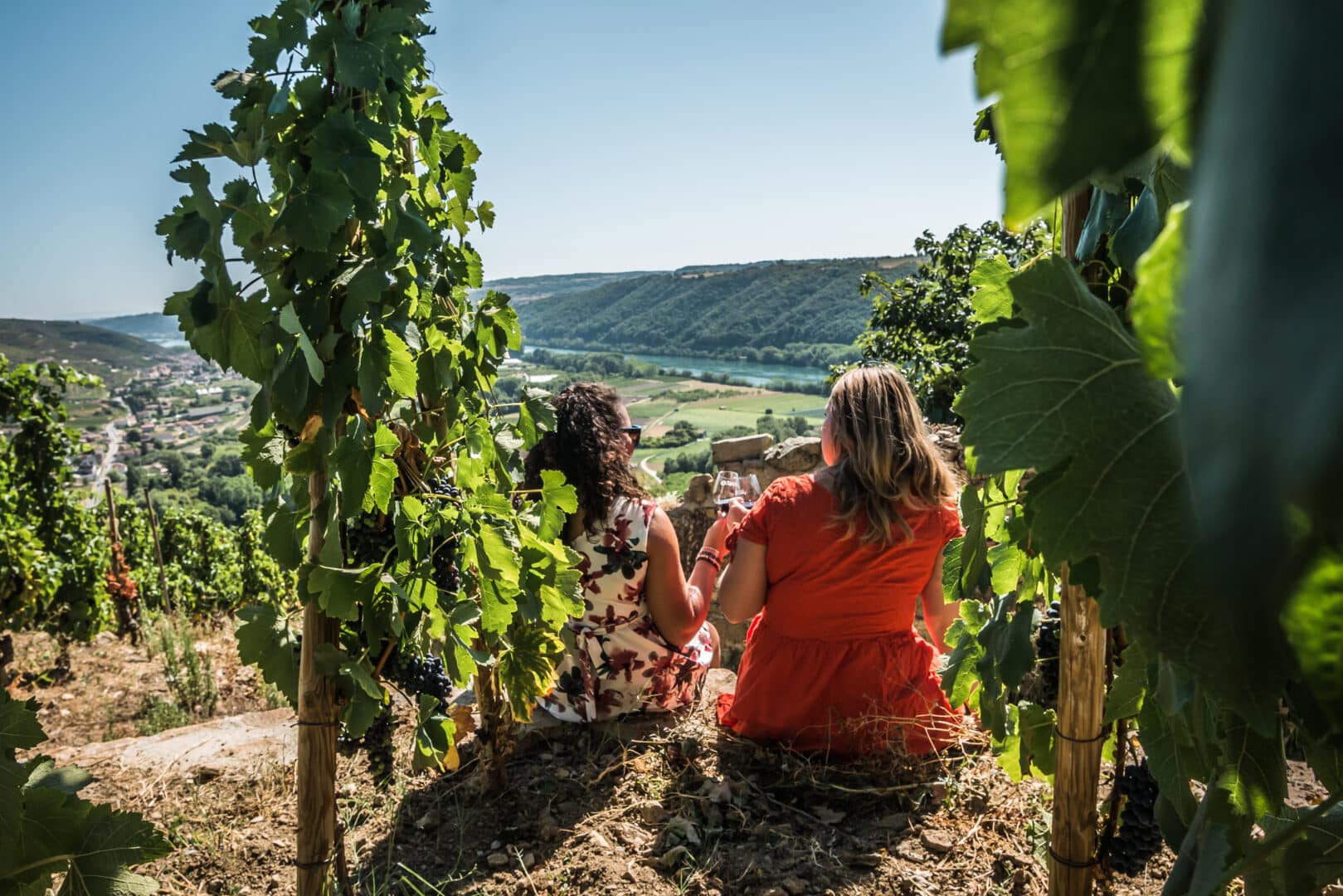 Office de Tourisme Vienne Condrieu, entre les départements de l'Isère ...