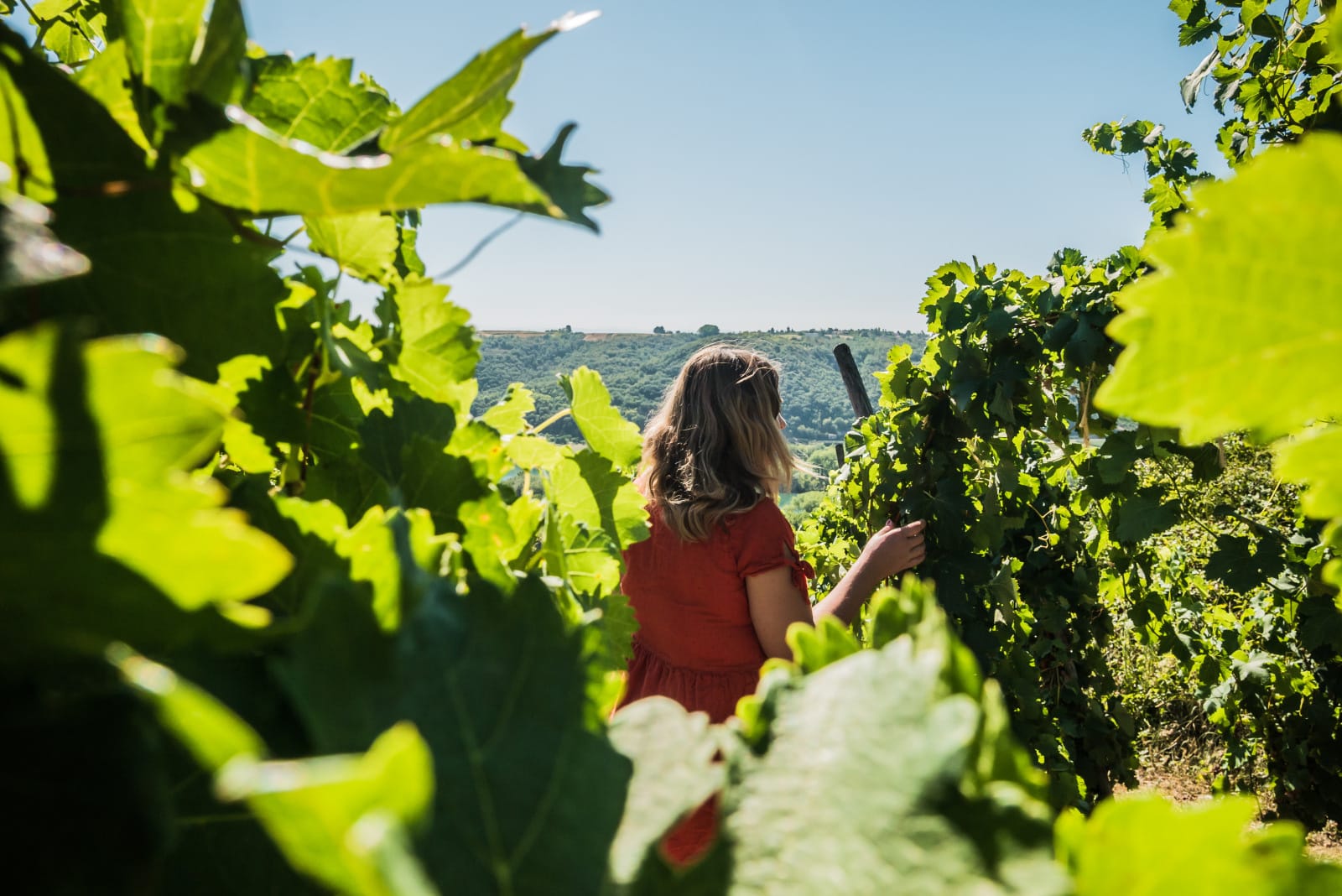 Office de Tourisme Vienne Condrieu, entre les départements de l'Isère ...